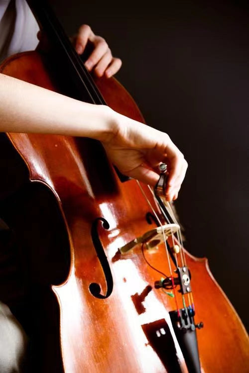 Caring for Your Cello: Nurturing the Beauty of Music – Musiin