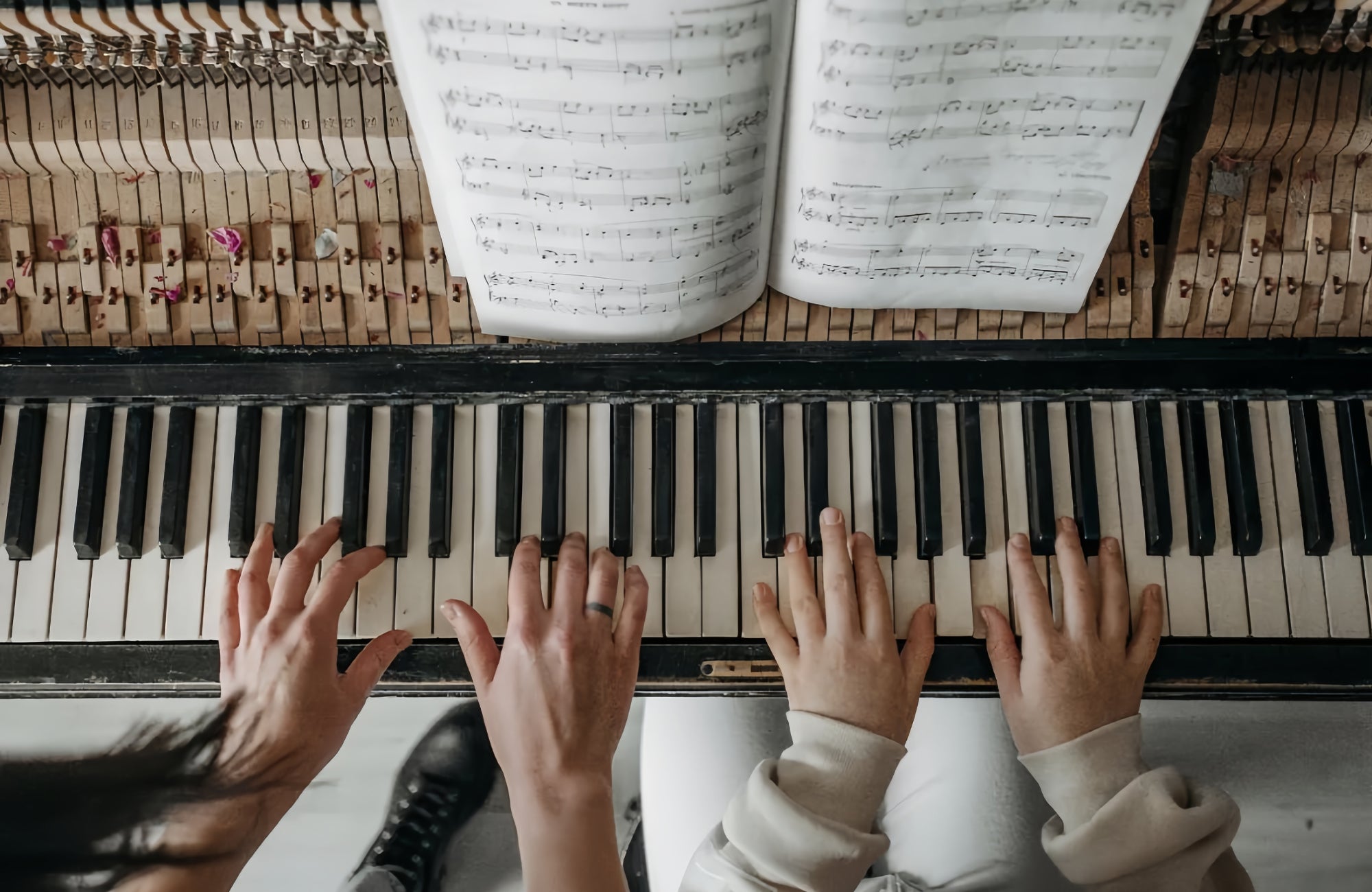 Understanding Hand and Arm Positioning for Piano Beginners – Musiin
